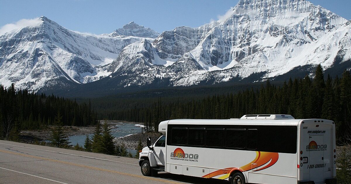 Transportation & Tours to the Icefields Parkway