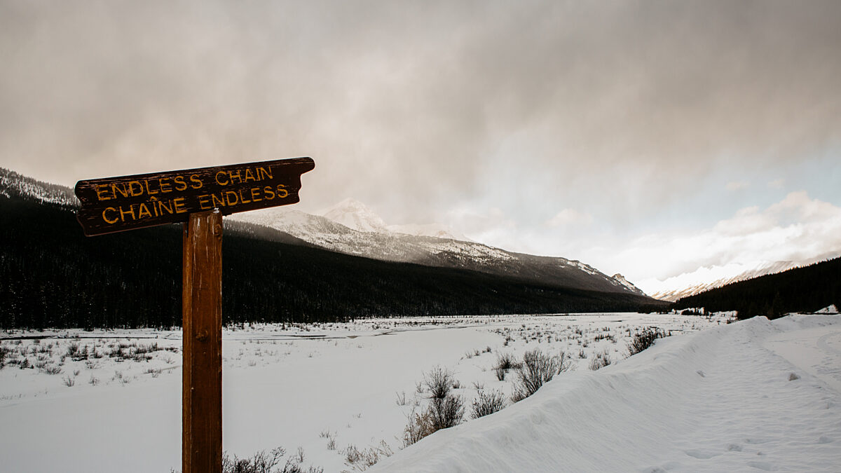 Icefields Parkway Winter Discoveries